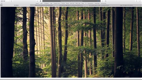 Javascript How To Get My Image Drawn On A Canvas Proportionally Yet Not Leave Any Borders