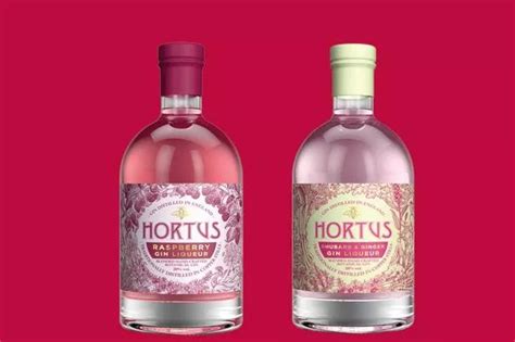 Lidl Ireland Is Selling A Tasty New Pink Gin Just In Time For Valentine S Day RSVP Live