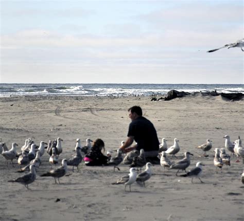 Littered Beach Radical Joy For Hard Times