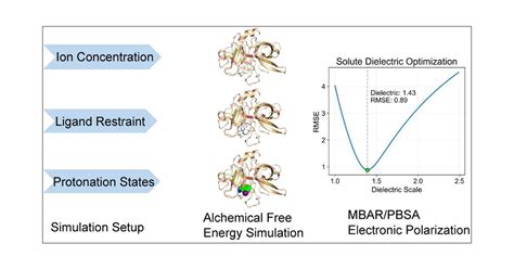 Estimating The Roles Of Protonation And Electronic Polarization In