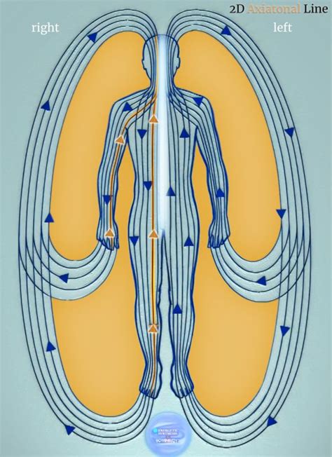 Ruby Ray Recoding Ascension Glossary