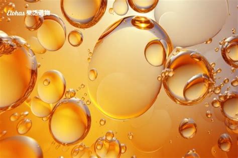 Omega 3是什麼？如何從食物補充？omega 3功效好處、副作用一次了解 樂活選物