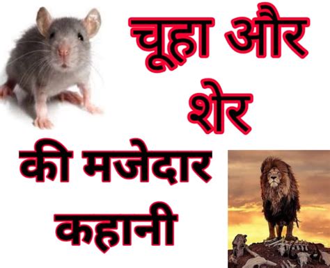 चूहा और शेर की मजेदार कहानी Funny Story Of Mouse And Lion
