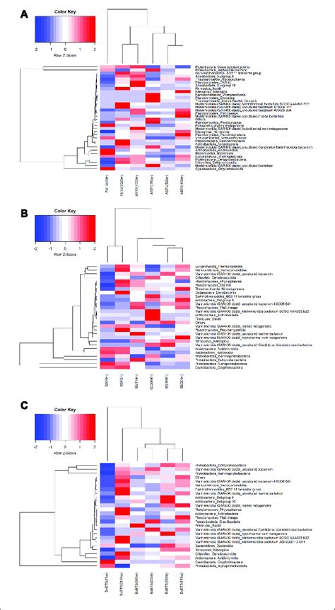 Heatmap Generated Using The Relative Abundance Of Bacteria At