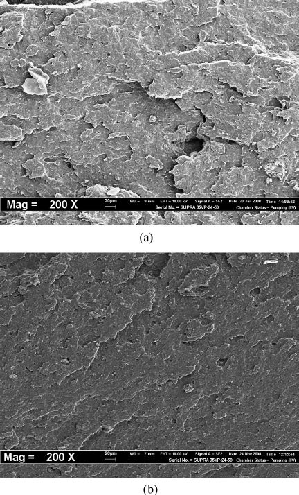 Scanning Electron Microscopy On Tensile Fracture Surfaces Of A Download Scientific Diagram