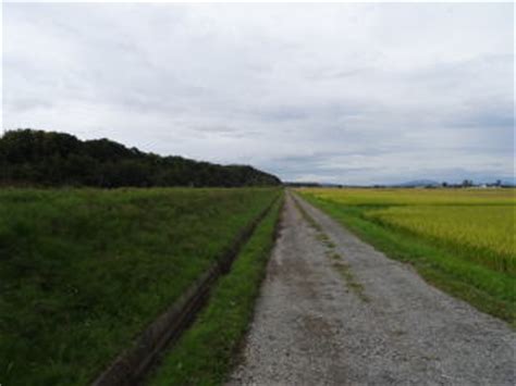 廃線探索 札沼線廃止区間歩鉄の達人