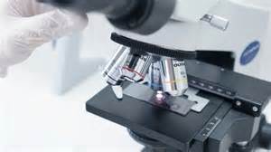 Usu Engineer Pioneers Sustainable Construction Techniques Using