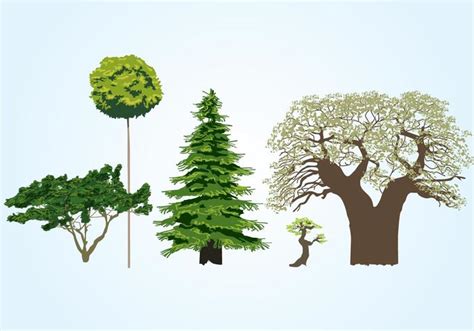 Trees Free Vector Graphics Everypixel
