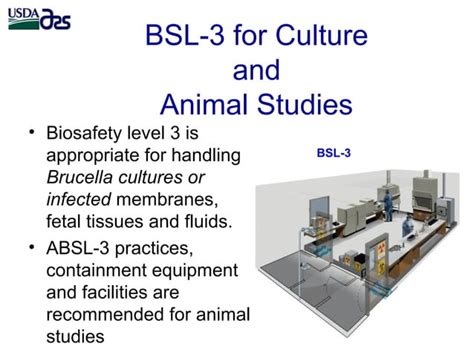 Laboratory Biosafety And Biosecurity Issues Related To Brucella Research And Diagnostics Ppt