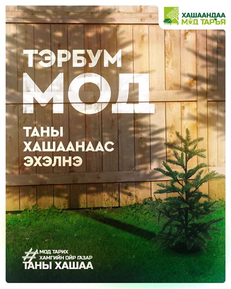 Экологийн Хашаандаа мод тарьж ирээдүйн хөрөнгө оруулалт үнэ цэнээ өсгөе 🏡 Facebook