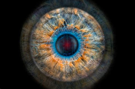 Premium Photo Spectacular Closeup Human Iris And Hitech Concept Human