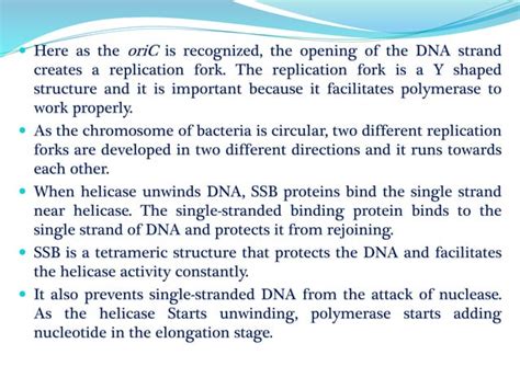 Replication In Prokaryotes Pptx
