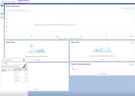Salesforce Miaw Live Chat