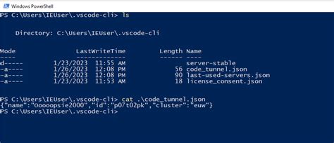 Lets Go Vs Code Red Team Style Badoption Eu