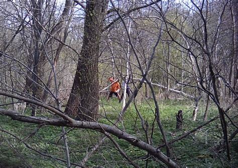 Deeper Down The Pee Trail The Tree Spy