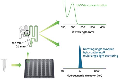Protein Aggregation And Quantification Unchained Labs