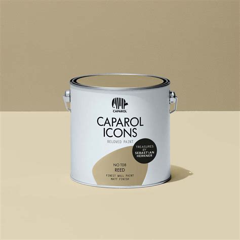 CAPAROL ICONS Sebastian Herkner - NO T08 Reed - Paint and Brush