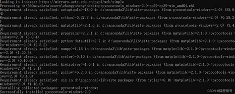 Win10python39安装pycocotoolspycocotools Windows Cp39 Csdn博客