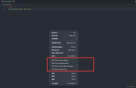一篇文章学完PHP基础 肖叶茂 CSDN博客