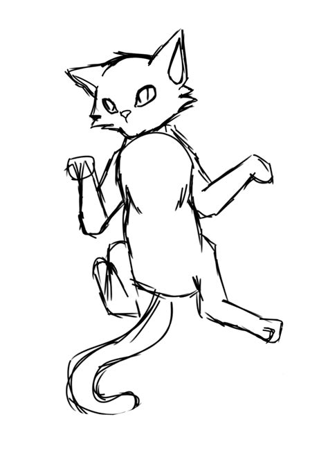 Cat Lying Down Drawing