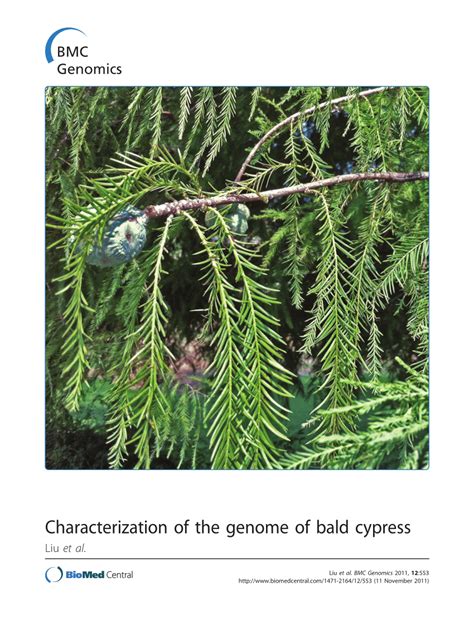 Pdf Characterization Of The Genome Of Bald Cypress