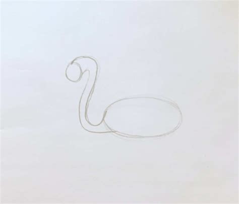 How To Draw A Flamingo With Feathers Basicdraw Com