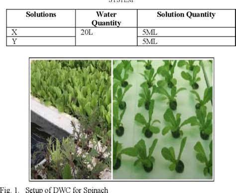 Figure 1 From Implementation Of An Automated Hydroponic System Using