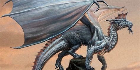 What Dandd Dragon Colors Mean