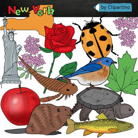 New York State Symbols Clip Art By Clipartino Tpt