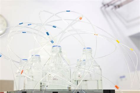 Southern Rna Mrna Analytical Services