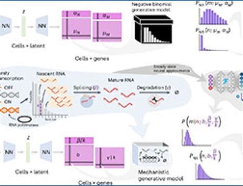 Removing Technical Noise From Single Cell Rna Seq Data Rna Seq Blog