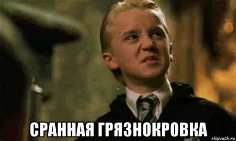 Гермиона Грейнджер Поттериана Рон Уизли Гарри Поттер Ana Dragomir Safereactor