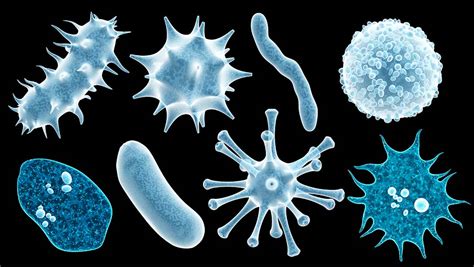 Going Long Viruses Linger With Lasting Impact Eatg