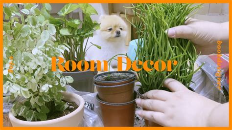 Roomdecor 북디자이너 작업실 꾸미기 Part 2 플랜테리어 식집사 Youtube