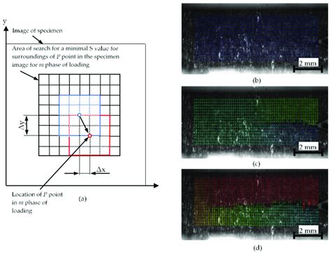 Analysis Of The Specimen Image With The Use Of A Digital Correlation Download Scientific