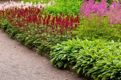 The 17 Best Plants To Grow In Zone 3b 35 To 30 °f 372 To 344 °c