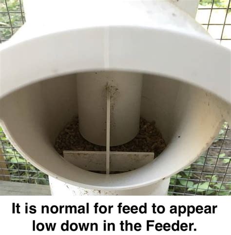 The Complete Guide To Dine A Chook Chicken Feeders Dine A Chook