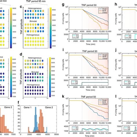 Dynamics From Coupled Oscillators And Emergence Of Chaos A Schematic