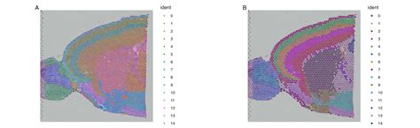 Plotting 5 Spatial Plotting Functions ScCustomize