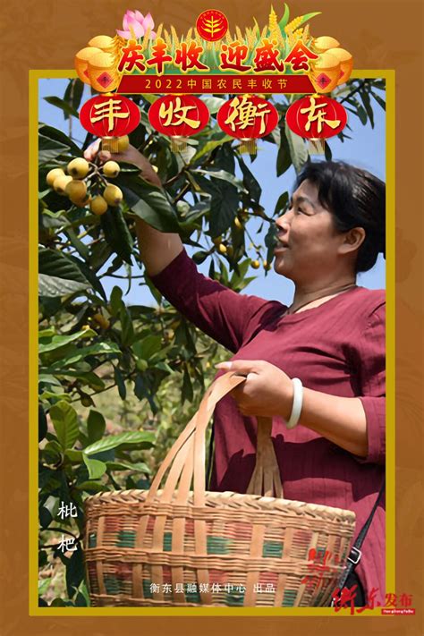衡阳市人民政府门户网站 海报丨庆丰收，迎盛会！衡东丰收系列海报带您看丰收笑脸，享丰收喜悦！