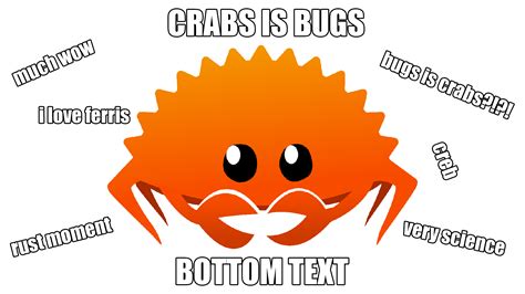 Thetruereasonwhymyrustcodeisbuggy Rprogrammerhumor