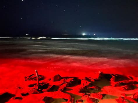 Yuting Bu Angelinabyt • Instagram Photos And Videos