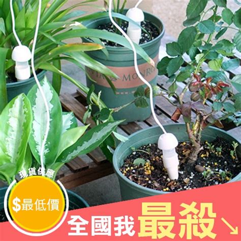 【米菈生活館】自動澆花器 可調節澆花器 懶人澆水器 虹吸式 自動澆水器 灑水器 澆水神器 蝦皮購物
