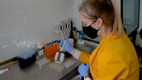 Video Advanced 3d Liver Models For In Vitro Genotoxicity Testing Following Long Term