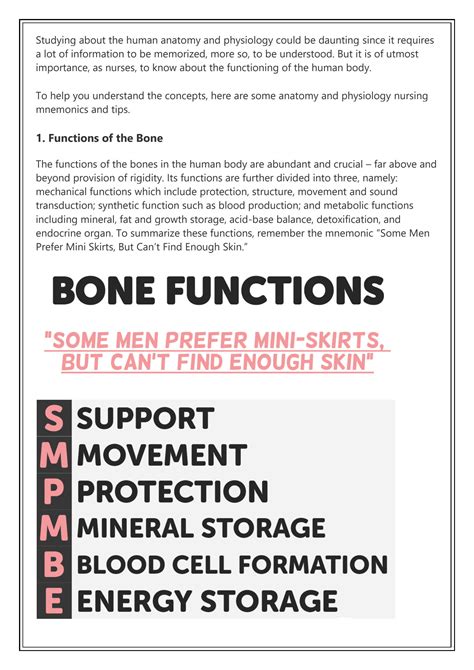 Solution Anatomy And Physiology Nursing Mnemonics Tips Studypool