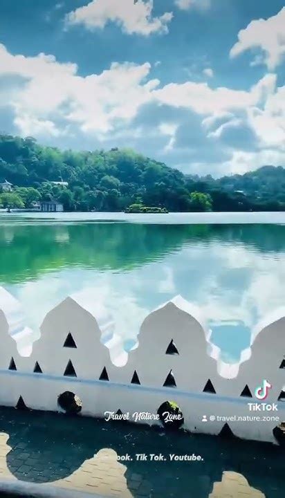 ලා දලු මල් පෙති පවා 🍃🫠kandy Srilanka Foryou Trending 1million Fypシ゚viral Viralvideo Video Youtube