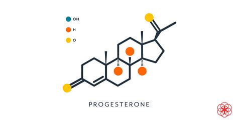 Progesterone 101 Progesterone Levels During Your Cycle