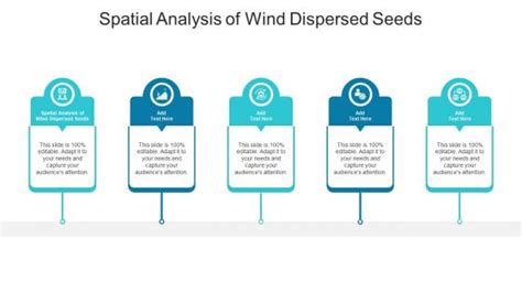 Spatial Analysis Of Wind Dispersed Seeds Ppt Presentation Cpp Ppt Presentation