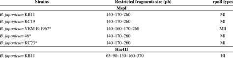 RFLP Types And Restriction Fragments Determined By PCR RFLP Analysis Of Download Scientific