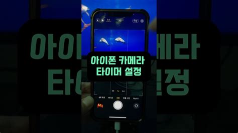 아이폰 카메라 타이머 설정 Youtube